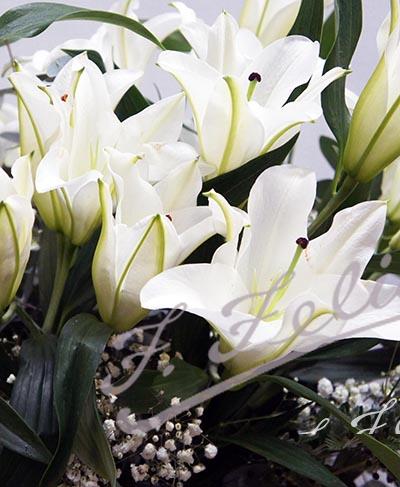 Búcaro de cristal con liliums - Floristería Feliu | Flores a domicilio ...